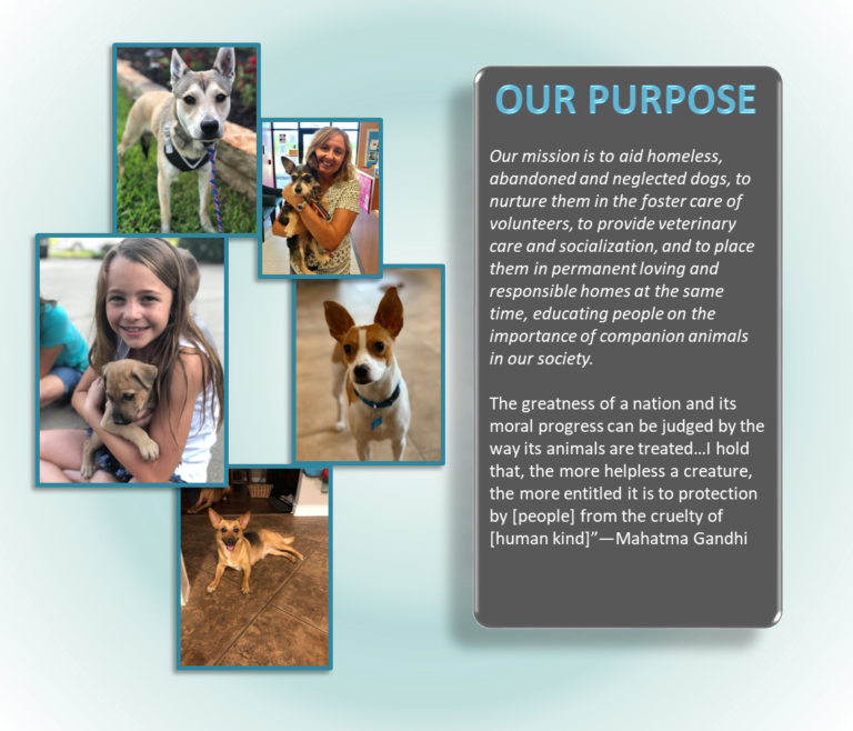 Who Rescued Who Texas – Who Rescued Who Texas